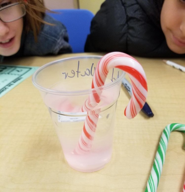 Special Educator Shari Hicks Settles the Green Chile Debate Once and ...