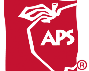 New Mexico Education